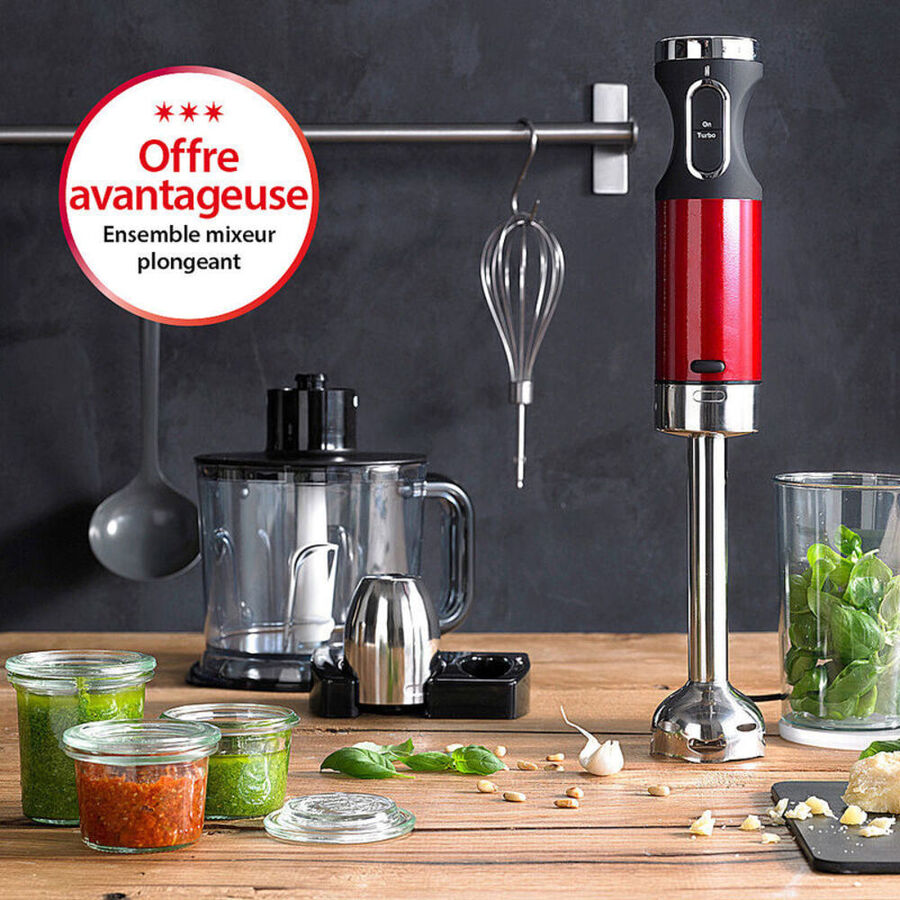 Mixeur Plongeant Professionnel - www.inf-inet.com