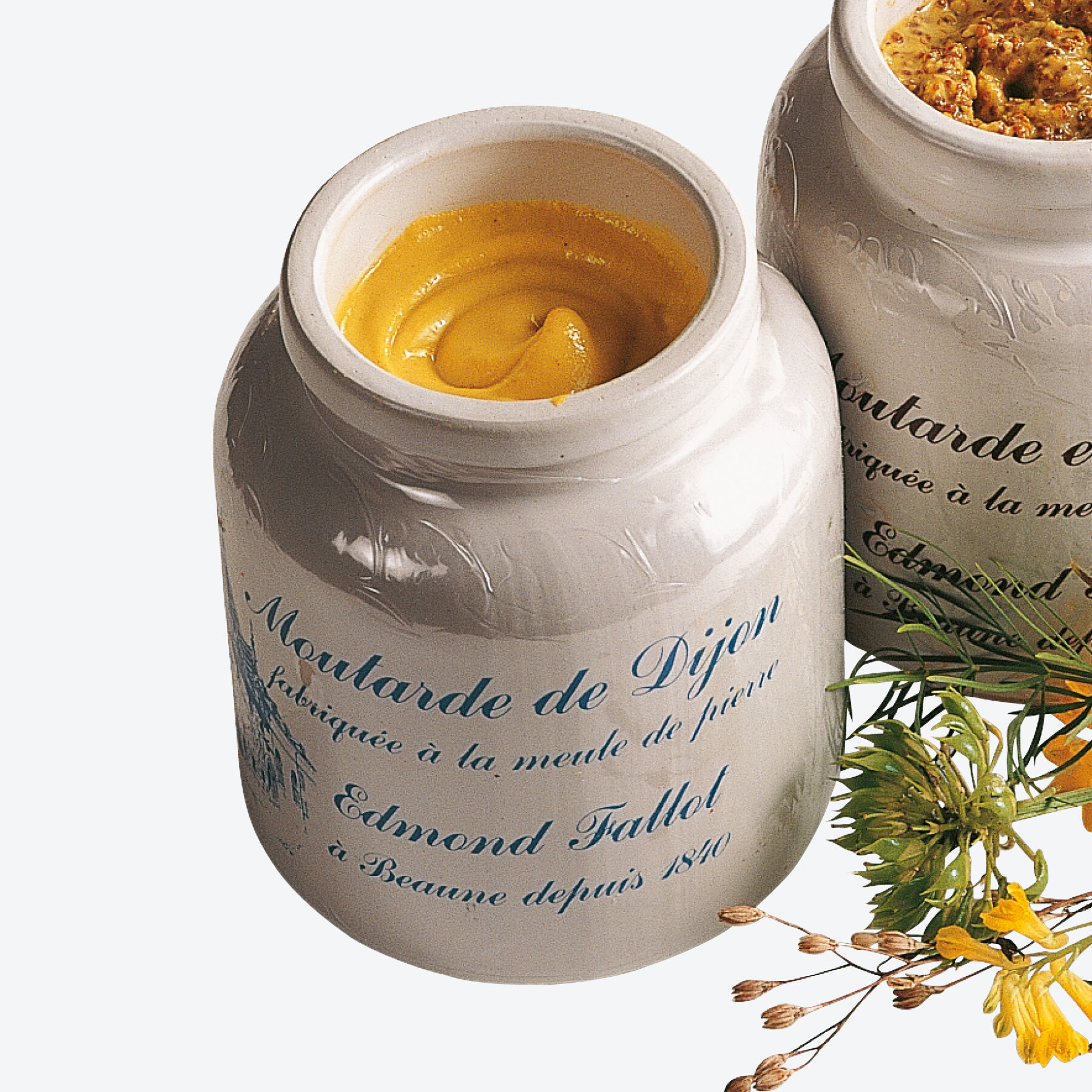 Véritable moutarde de Dijon - Boutique