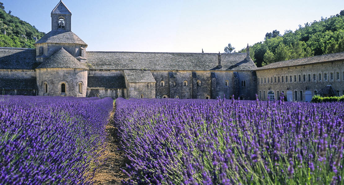 Quelles sont les spécialités culinaires de la cuisine provençale ? | La ...