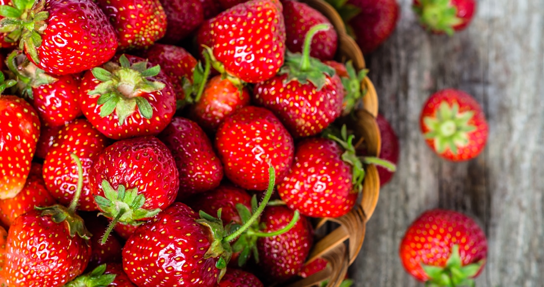 Enfin la saison des fraises : infos utiles sur la « reine des fruits ...
